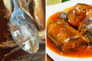 Rasa Pedas Pahit Manja Ikan Gerut Masak Lemak Cili Api Campur Peria