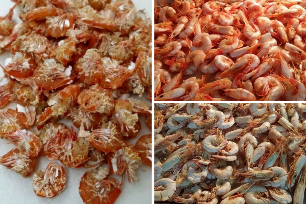 Cara-Cara Hasilkan Udang Kering Homemade Yang Tak Hapak & Tahan Lama.