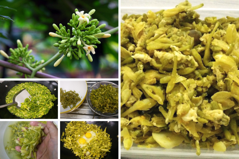 Resipi Bunga Betik, Pahit-Pahit Sedap! Elok Juga Untuk Kesihatan