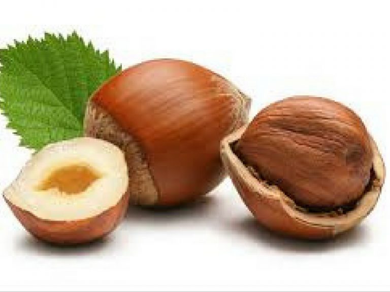 Nak Kudapan Sihat, Makanlah Kekacang. Ketahui Khasiat 8 Jenis Kacang Ini