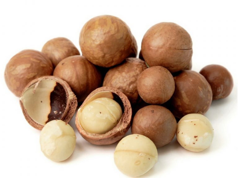 Nak Kudapan Sihat, Makanlah Kekacang. Ketahui Khasiat 8 Jenis Kacang Ini