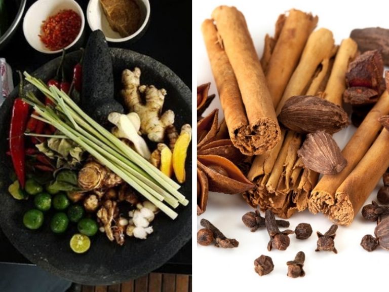 Inilah Cara Tanam Daun Sup Dan Ketumbar Dari Akar Betul-Betul Tumbuh Elok.