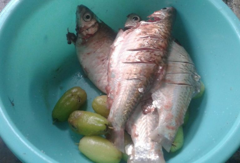 Nak Kudapan Sihat, Makanlah Kekacang. Ketahui Khasiat 8 Jenis Kacang Ini