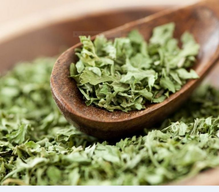 Inilah Cara Tanam Daun Sup Dan Ketumbar Dari Akar Betul-Betul Tumbuh Elok.