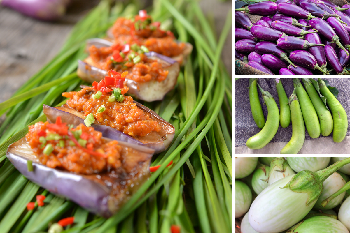 7 Manfaat & Khasiat Terung Ungu Terhadap Kesihatan.