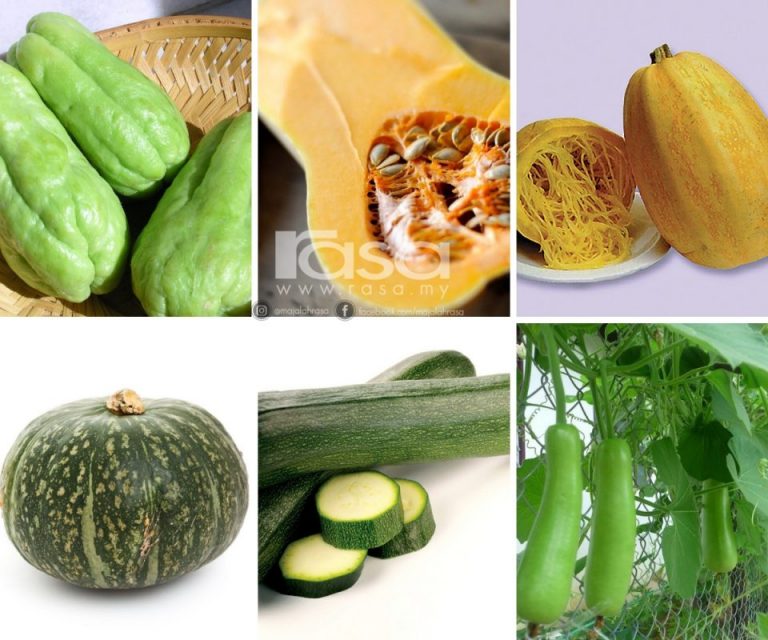 Selain Labu Kuning Ada Macam-macam Jenis dan Rupanya Yang Lain