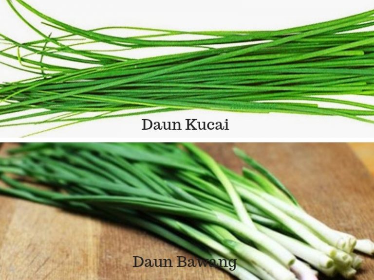 Ini Perbezaan Daun Bawang & Kucai, Jangan Tersalah Beli Ye.