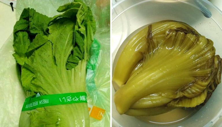 Ada Peminat Sayur Jeruk? Ini Cara Mudah Untuk Membuatnya