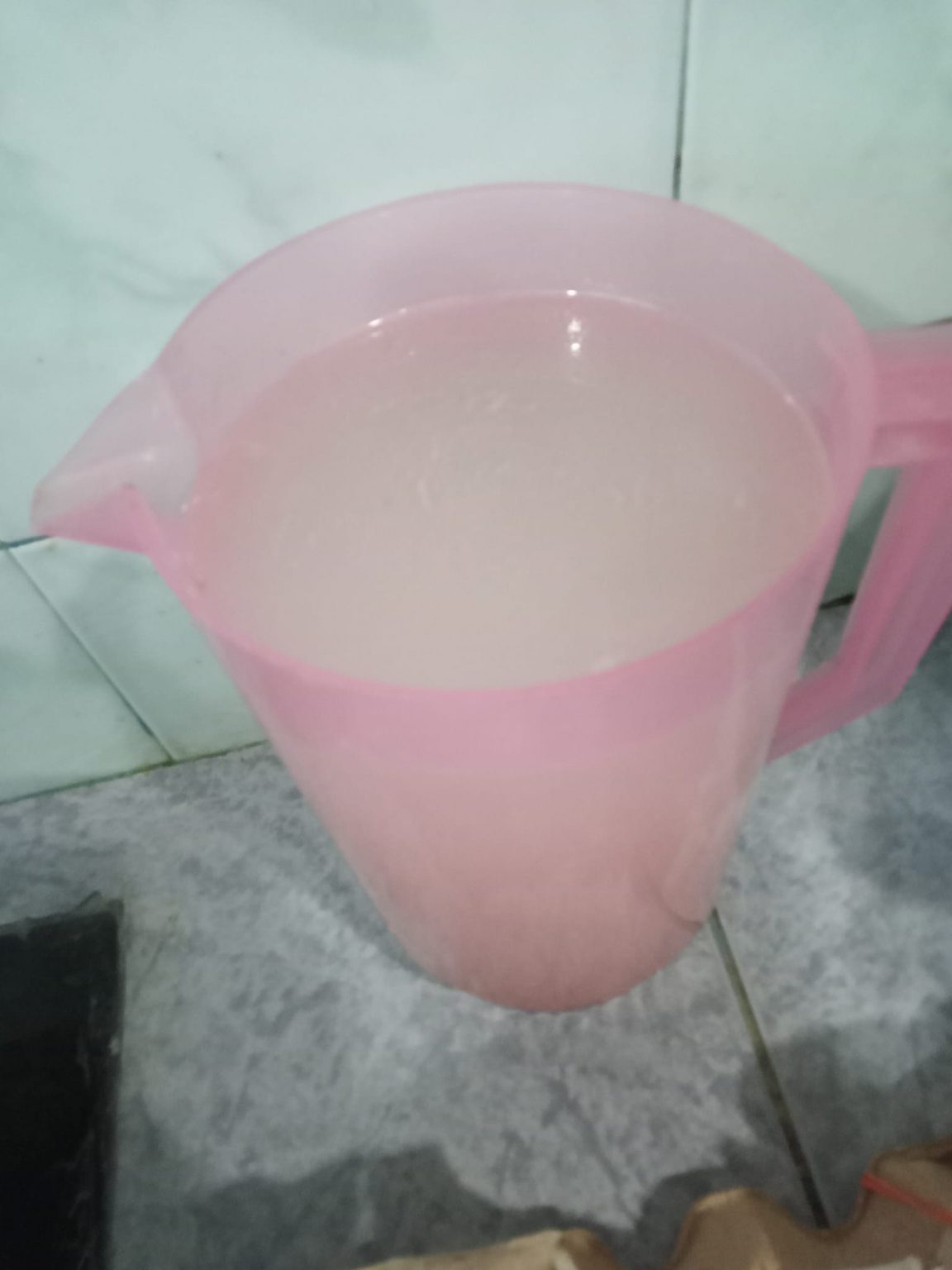 Sawi Jeruk Homemade Terjamin Kebersihannya