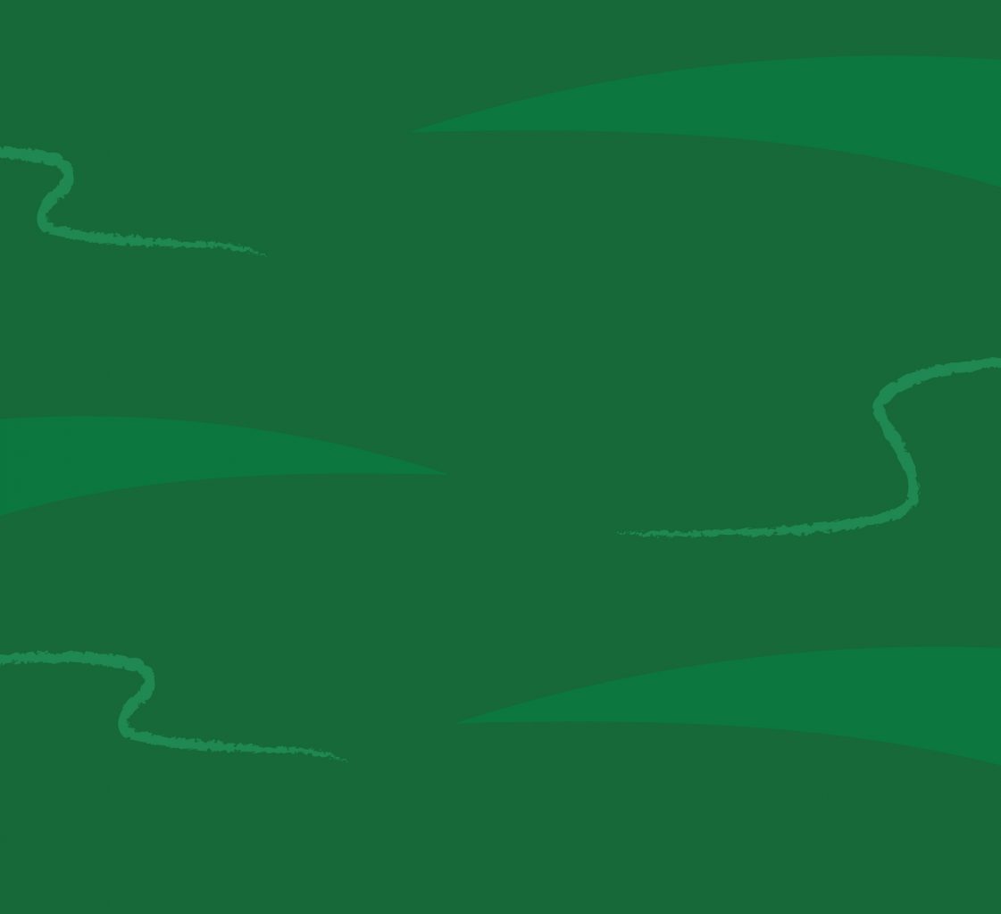 background-green-2300 - RASA