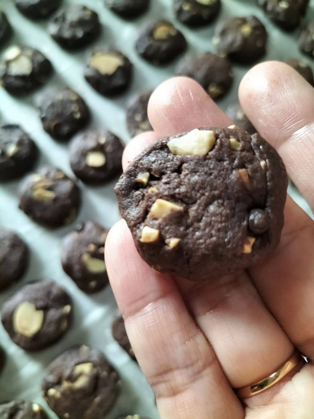 Resipi Biskut Makmur Susu Tanpa Ketuhar. Mudah & Menjadi!