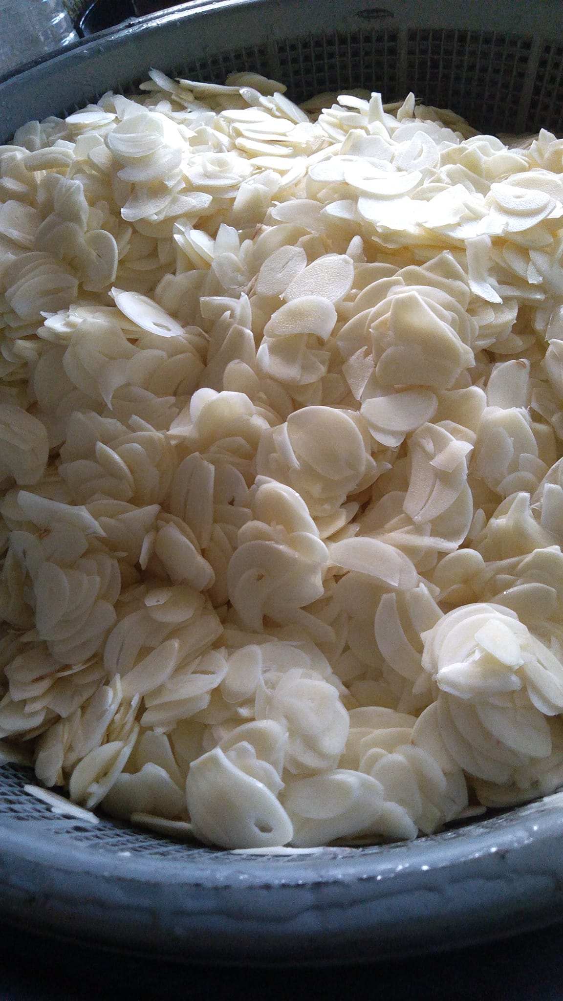 Cara-Cara Buat Jeruk Mempelam Epal Tanpa Pakai Pengawet.