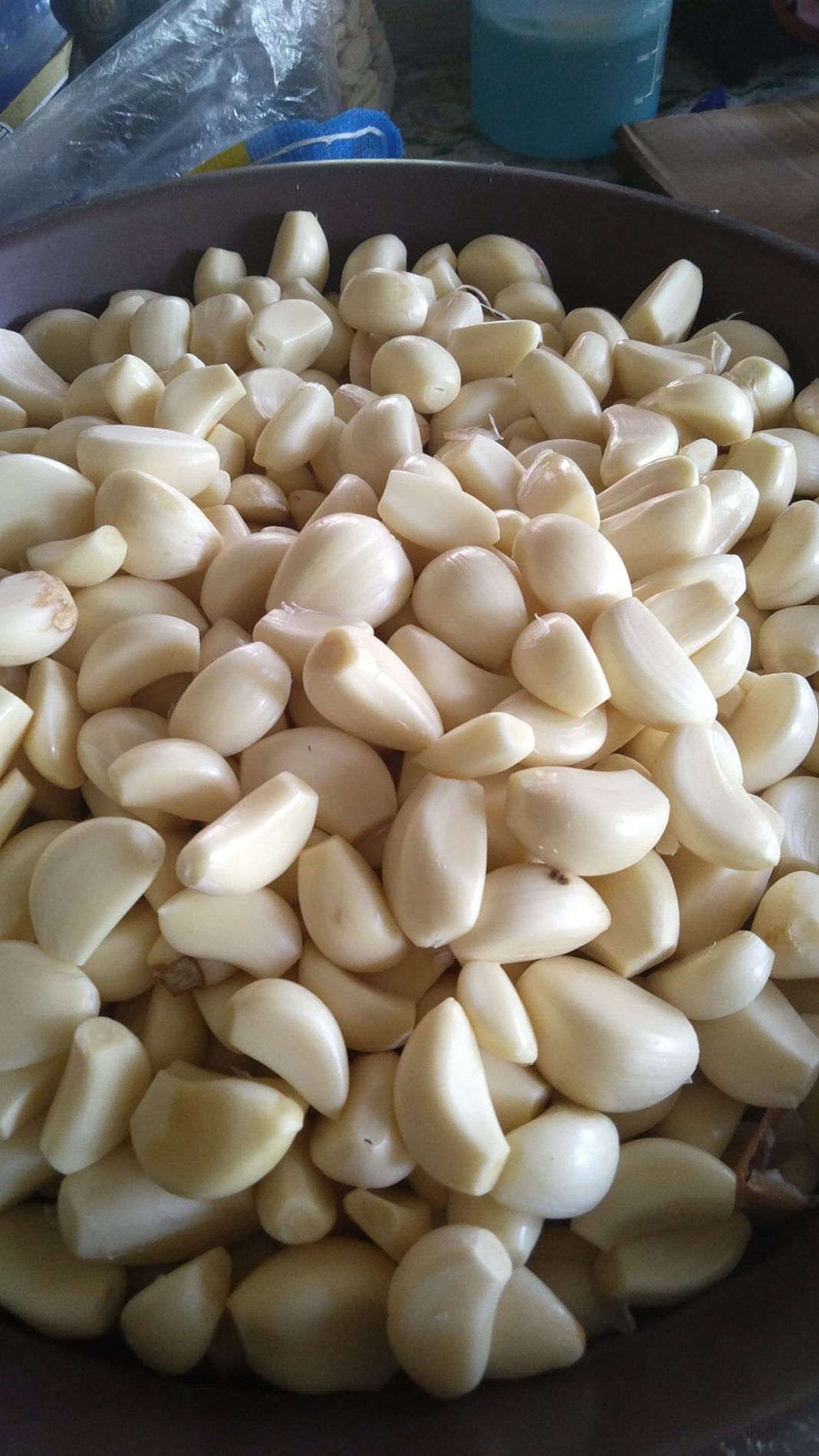 Cara-Cara Buat Jeruk Mempelam Epal Tanpa Pakai Pengawet.