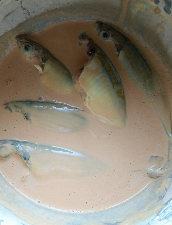 Ikan Temenung Goreng Masak Asam, Sedapnya.