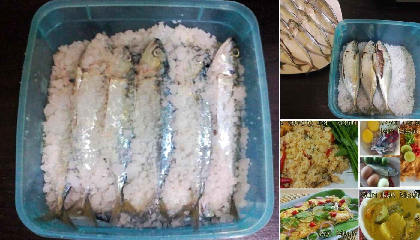 Cara Mudah Buat Ikan Masin / Ikan Budu / Ikan Jeruk Secara Homemade