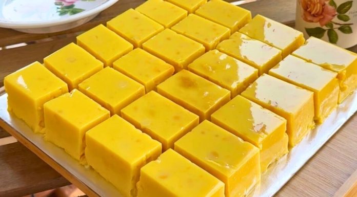 Cara Buat Dadih Homemade Sedap Tanpa Guna Serbuk Segera