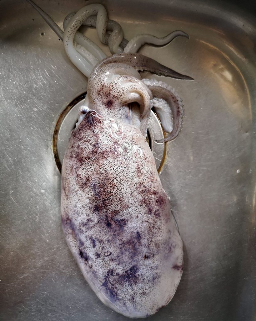 Cara Masak Sekaya Telur, Kuih Kegemaran Orang Pantai Timur.