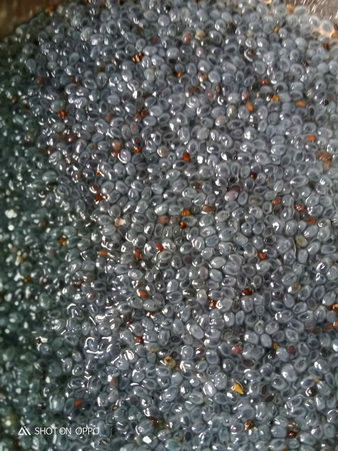 Cara Bancuh Air Nescafe Paling Sedap.Sekali Cuba,Pasti Ketagih.