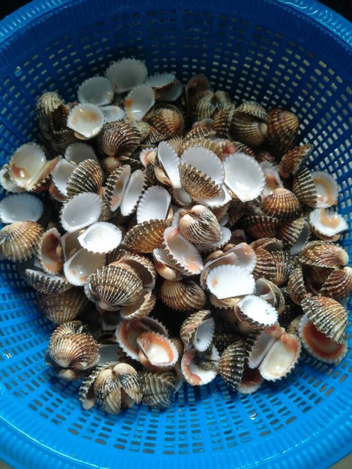 Cara Atasi Masalah Sinki Tersumbat Tanpa Guna Pelocok & Soda Bikarbonat