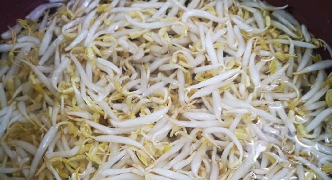 Petua Masak Paru Goreng Rangup Yang Sedap & Tak Hanyir.