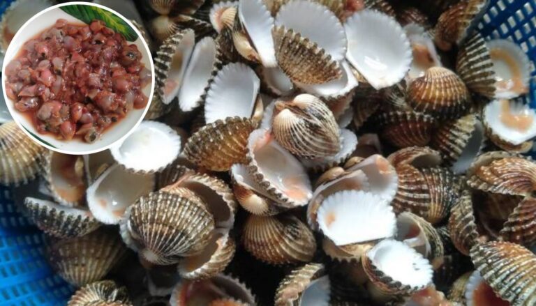 Cara Atasi Masalah Sinki Tersumbat Tanpa Guna Pelocok & Soda Bikarbonat