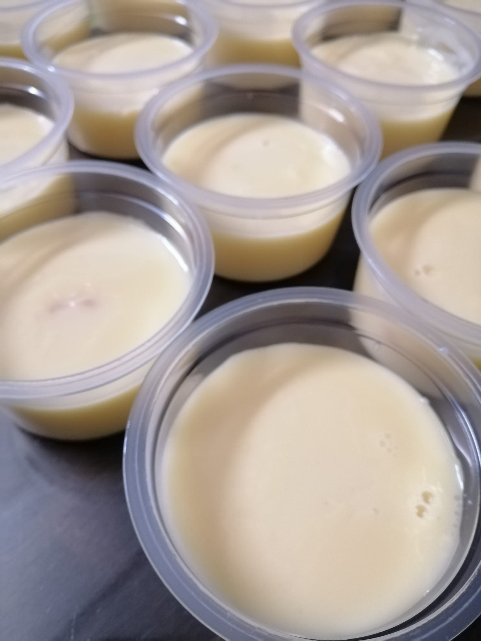 4 Jenis Puding Simple Yang Sedap