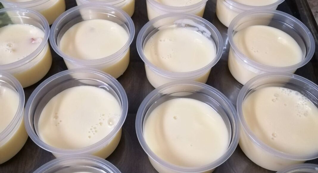 4 Jenis Puding Simple Yang Sedap