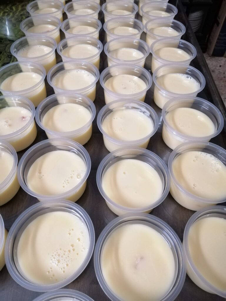 4 Jenis Puding Simple Yang Sedap