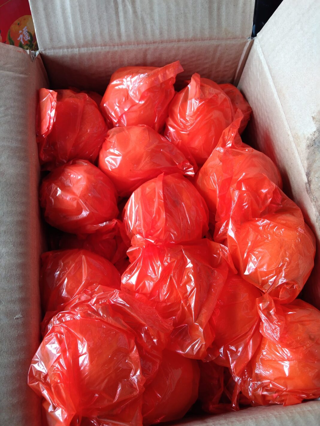 Inilah Cara Tanam Daun Sup Dan Ketumbar Dari Akar Betul-Betul Tumbuh Elok.