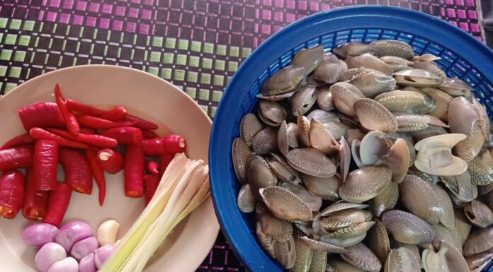 Resipi Lala Tumis Pedas Yang Sedap. Guna Tip Ini Supaya Lala Terbuka ...