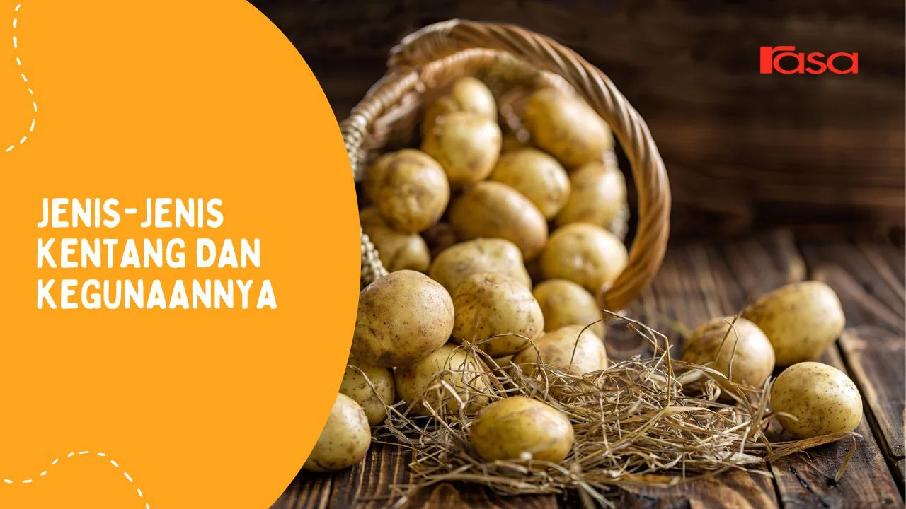Jenis-Jenis Kentang Dan Kegunaannya