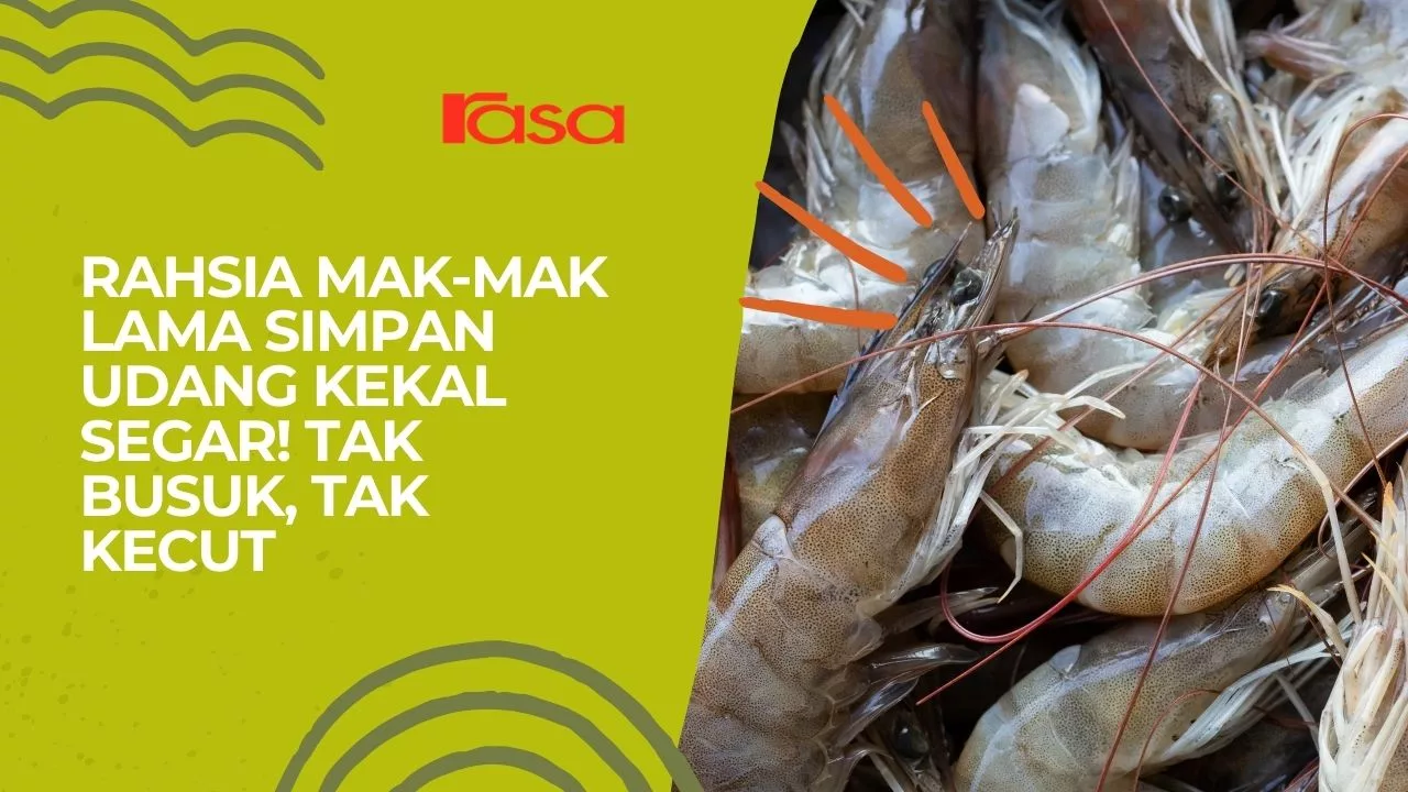 Rahsia Mak-Mak Lama Simpan Udang Kekal Segar! Tak Busuk, Tak Kecut