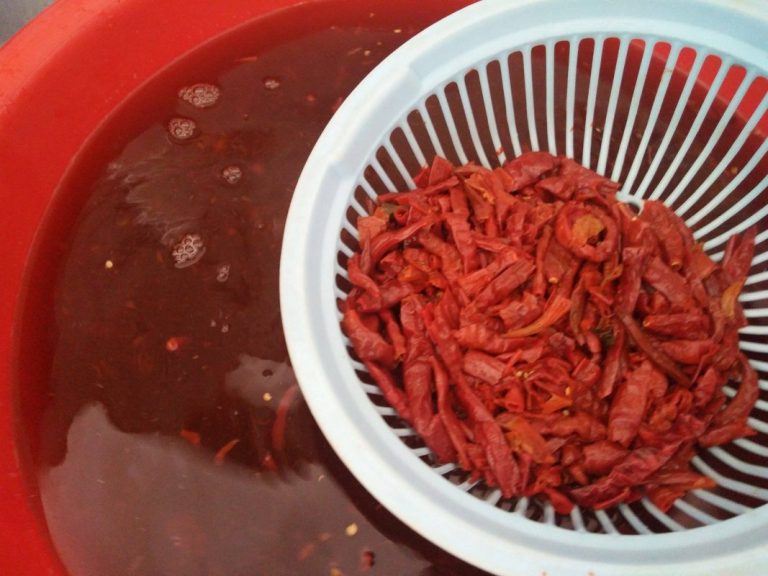 Jimat Masa! Tip Mudah Buang Biji Cili Kering Tanpa Perlu Menggunting ...