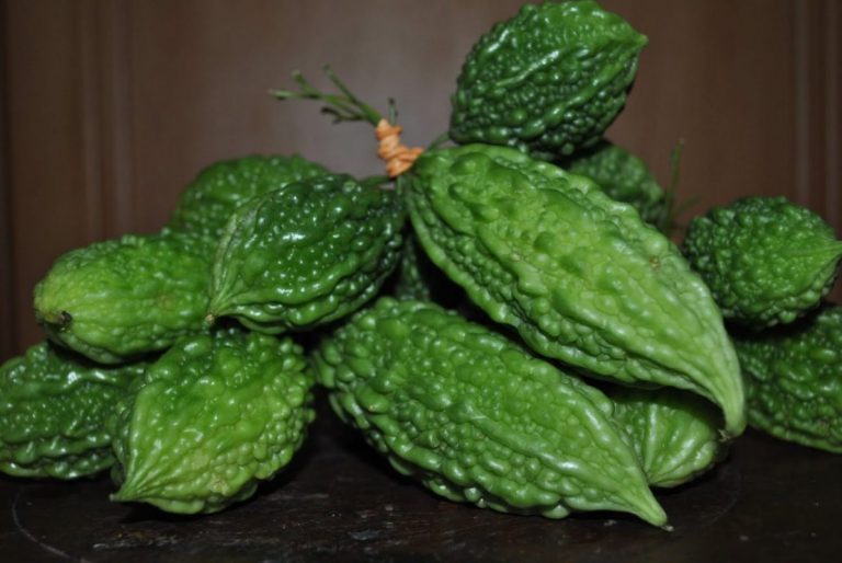 Rahsia Peria Goreng Mamak Cepat Sold Out! Senang Jer Bahannya Gerenti ...