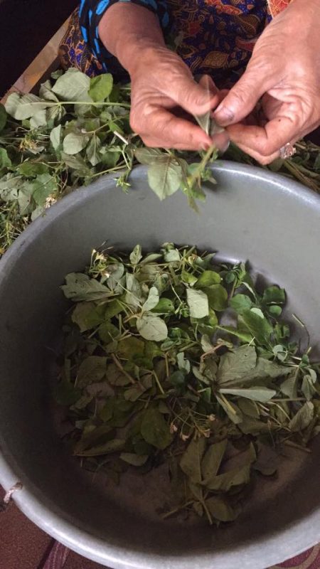 Cara-Cara Buat Jeruk Maman Sedap Secara Homemade. Memang Rare!