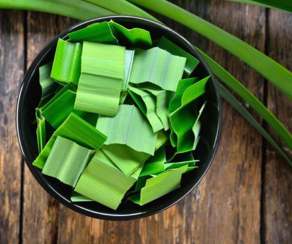 Daun Pandan Bakal Popular & Jadi Trend Makanan Terbaru di UK & AS