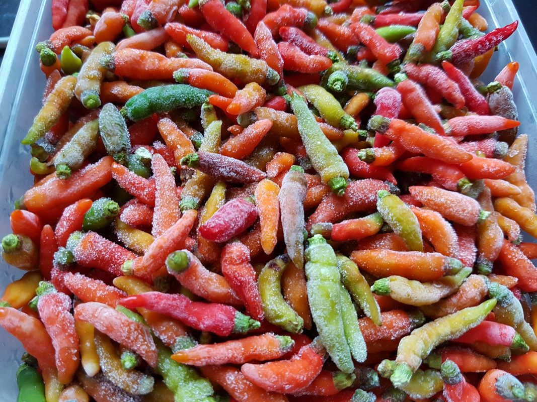 Rahsia Cili Api & Cili Kisar Tahan Berminggu Dan Makan Tahun...